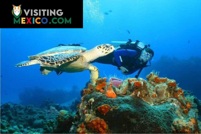Scuba Diving Mexico | Visiting Mexico