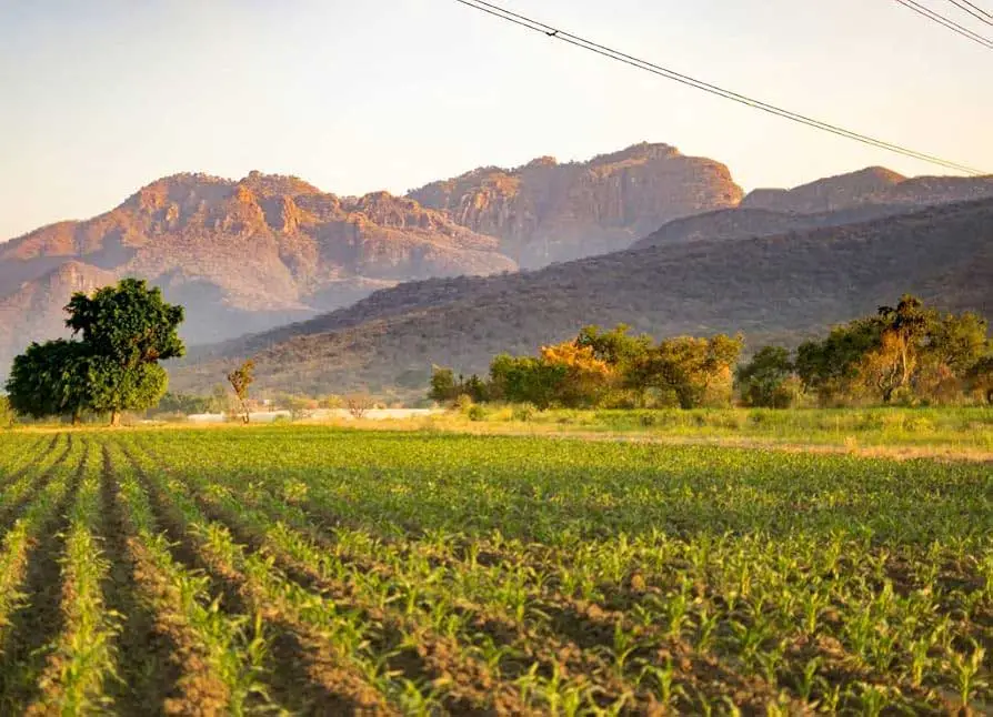 Morelos Mexico Travel Guide