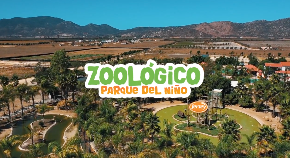 Discover the 10 Best Zoos in Mexico | Visiting Mexico